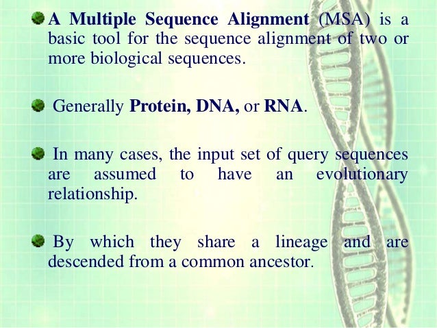 MULTIPLE SEQUENCE ALIGNMENT