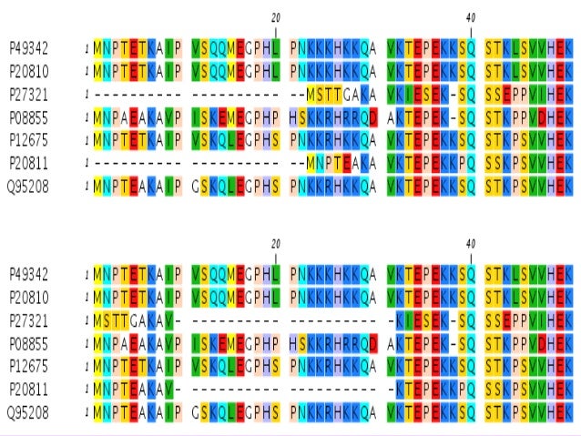 MULTIPLE SEQUENCE ALIGNMENT