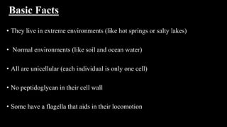THE ARCHAEA | PPTX