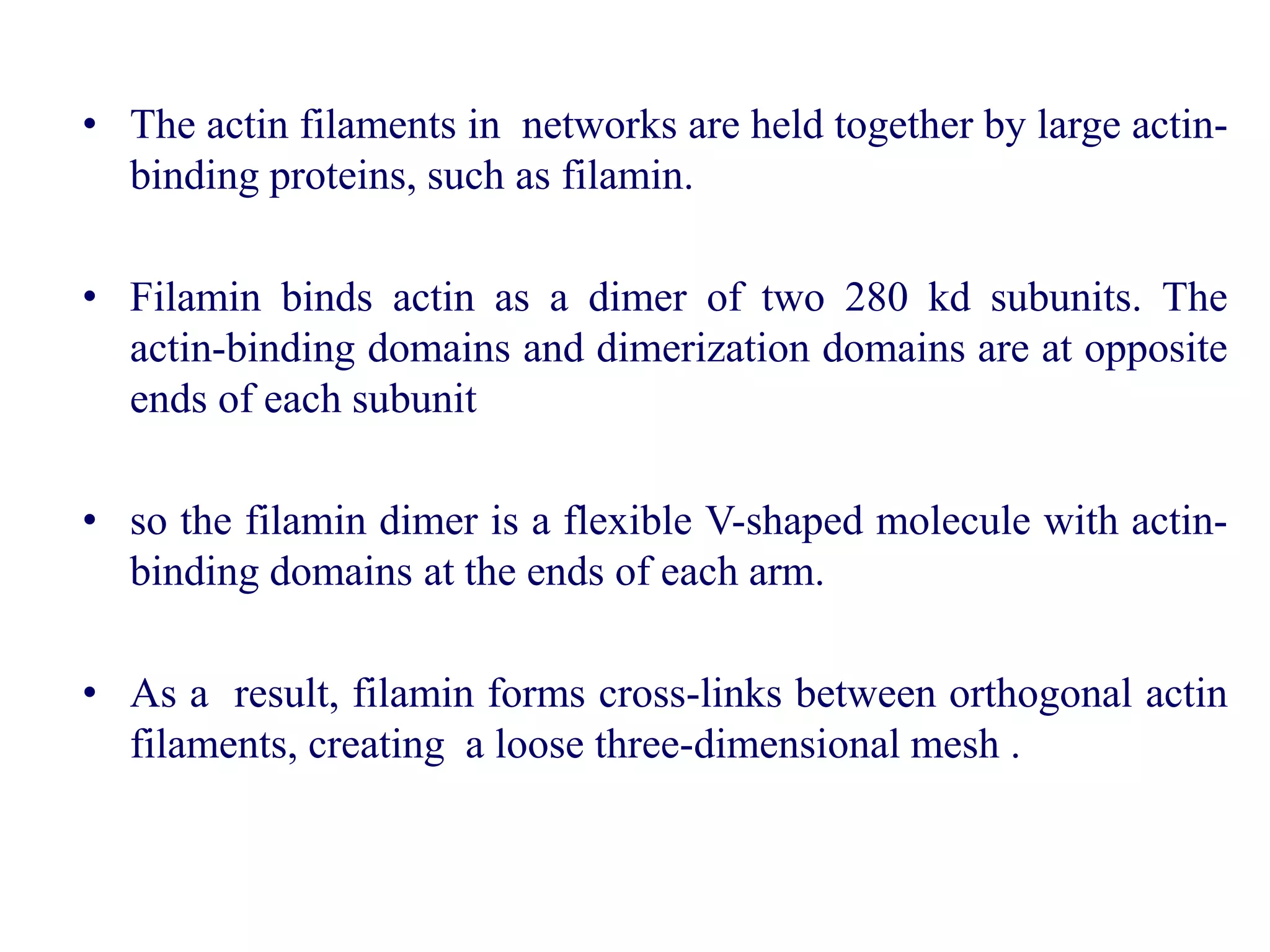 THE CYTOSKELETON | PPTX