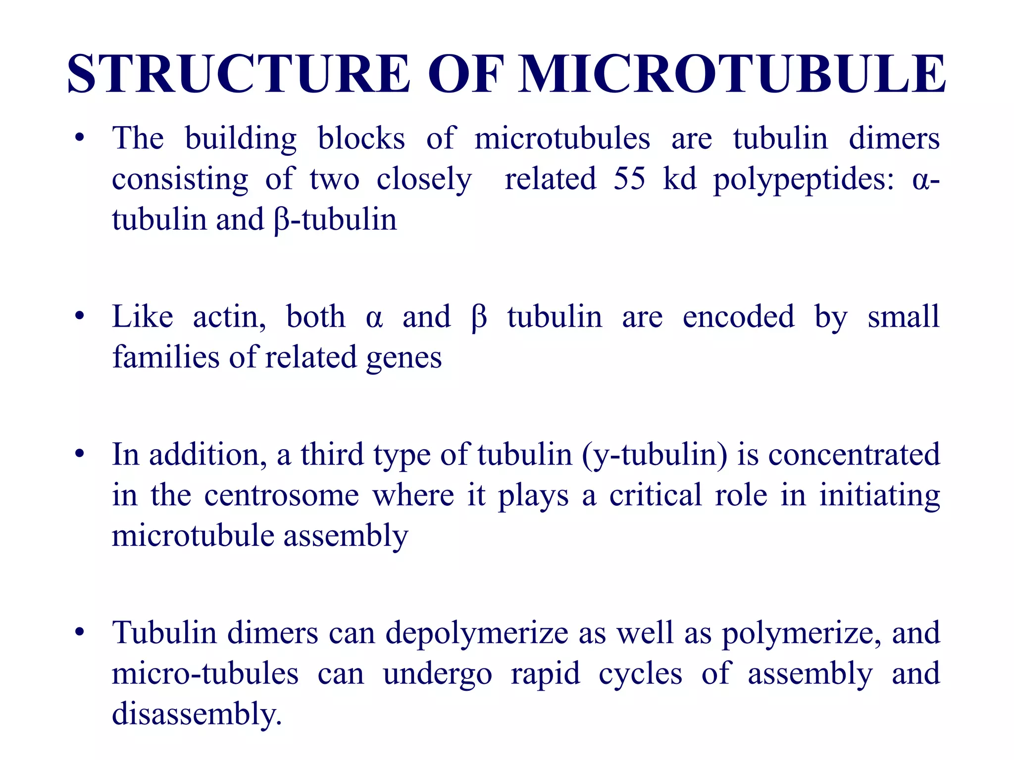 THE CYTOSKELETON | PPTX
