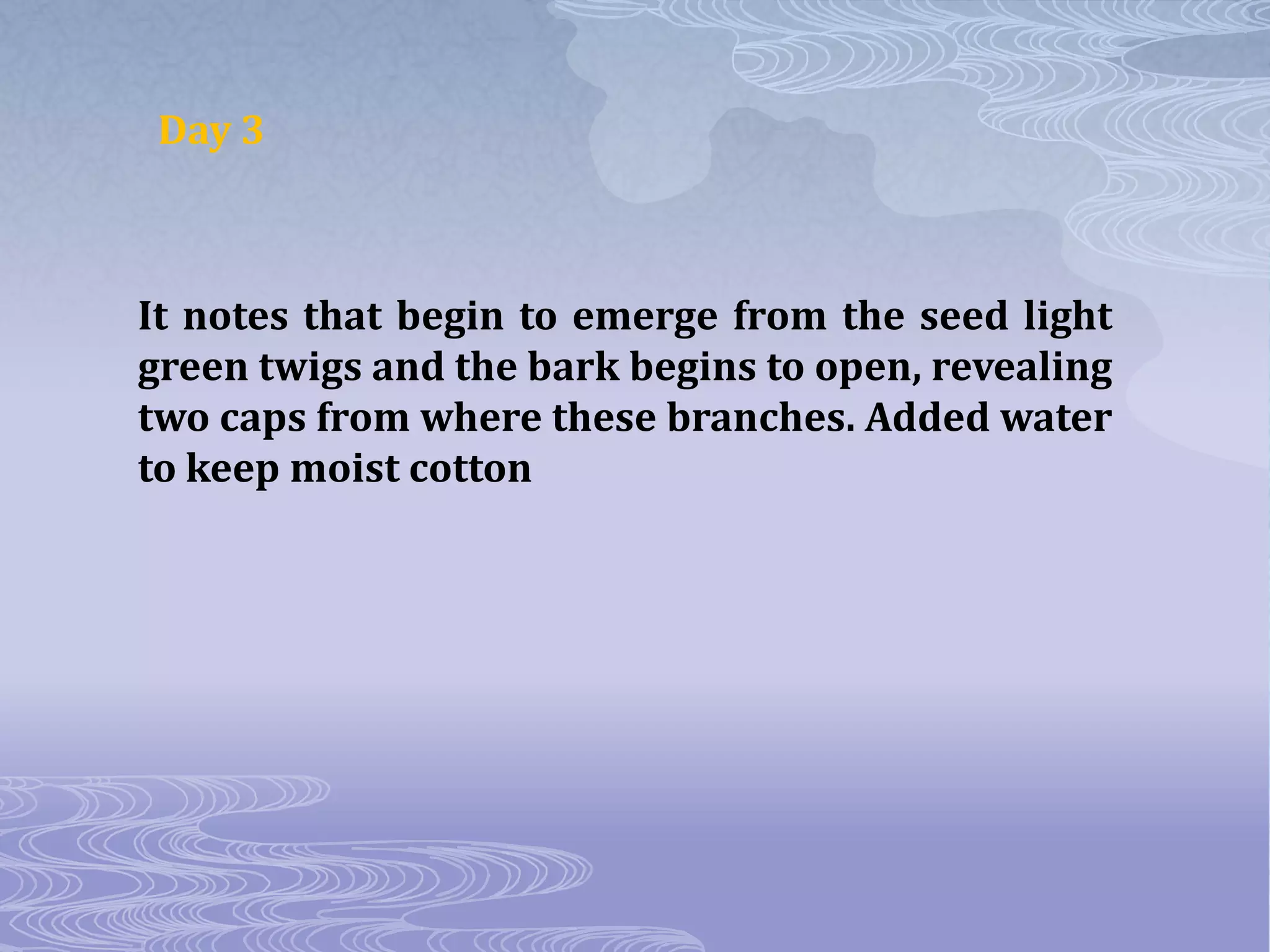 photosyntesis Process | PPTX