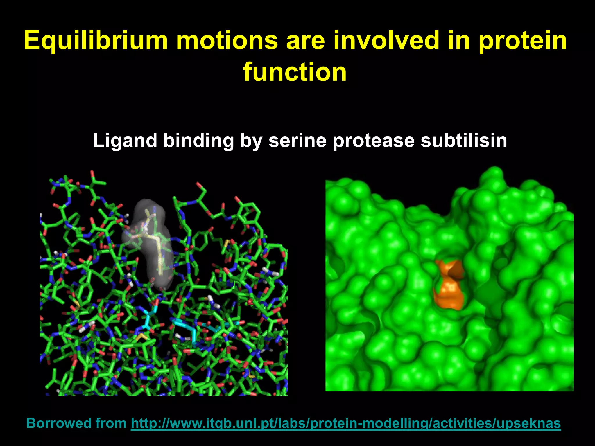 NMR Random Coil Index & Protein Dynamics | PPT