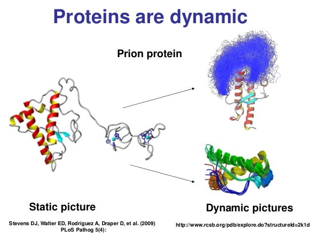 NMR Random Coil Index & Protein Dynamics
