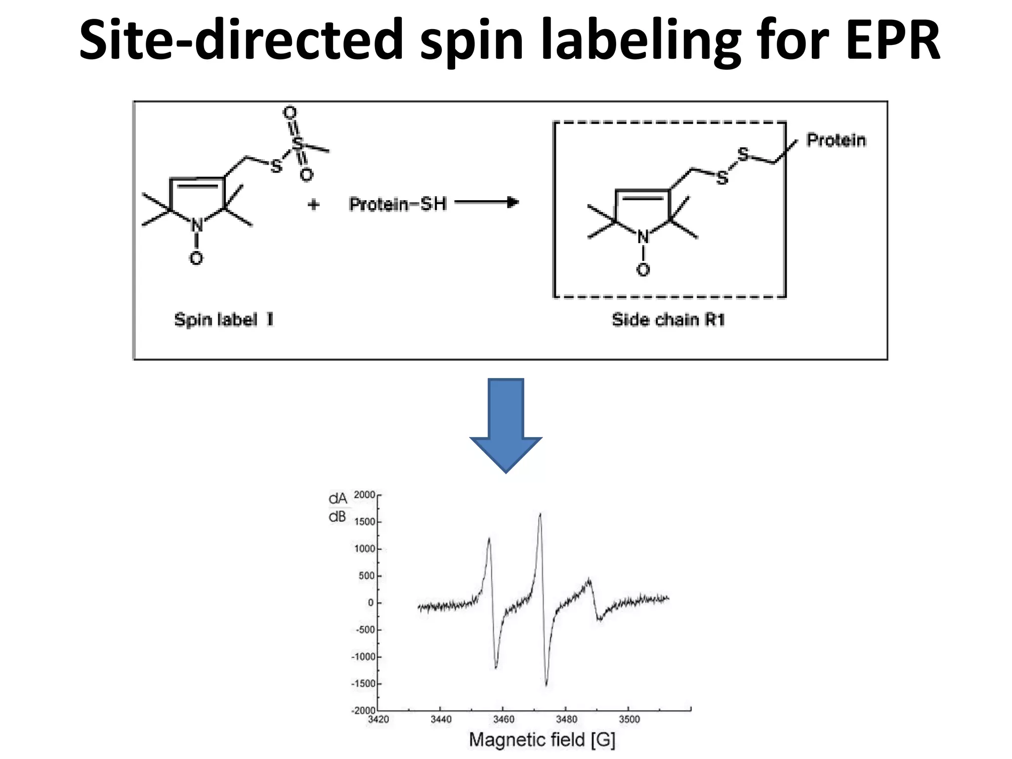 Protein Structure Determination From Hybrid Nmr Data Pdf