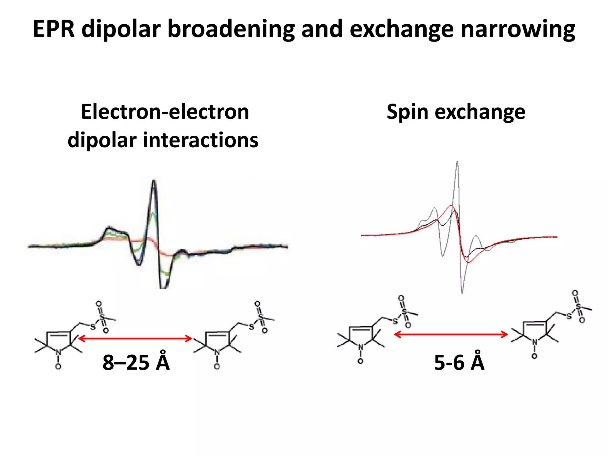 Protein structure determination from hybrid NMR data. | PDF