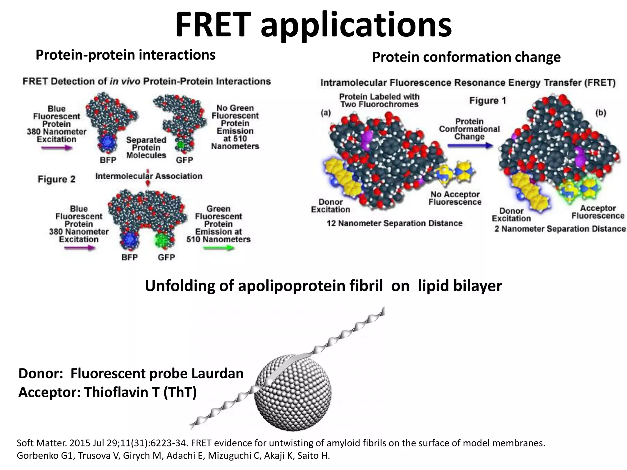 Protein Structure Determination From Hybrid Nmr Data Pdf