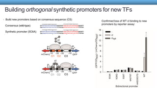 Synthetic Biology via programmable directed evolution | PDF | Programming Languages | Computing