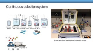Synthetic Biology via programmable directed evolution | PDF | Programming Languages | Computing