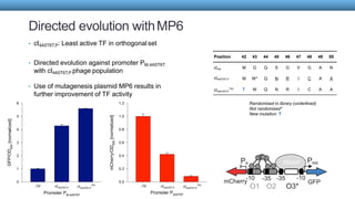 Synthetic Biology via programmable directed evolution | PDF ...