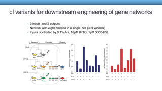 Synthetic Biology via programmable directed evolution | PDF ...