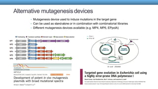 Synthetic Biology via programmable directed evolution | PDF | Programming Languages | Computing