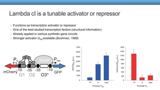 Synthetic Biology via programmable directed evolution | PDF | Programming Languages | Computing