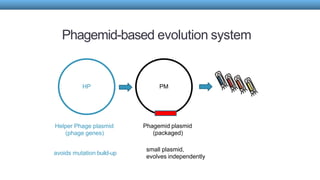 Synthetic Biology via programmable directed evolution | PDF ...