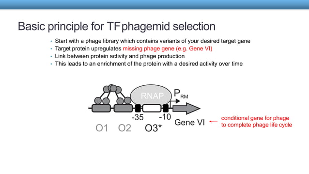 Synthetic Biology via programmable directed evolution | PDF ...