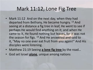 Mark 11, Triumphal entry, fig tree, cleansing temple, doubting, doubt ...