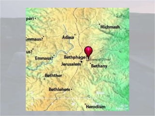 Mark 11, Triumphal entry, fig tree, cleansing temple, doubting, doubt ...