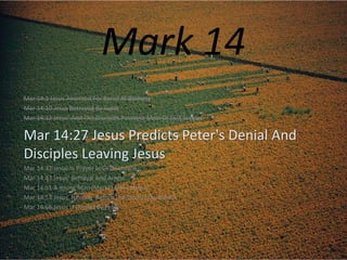 Jesus Predicts Peters Denial
