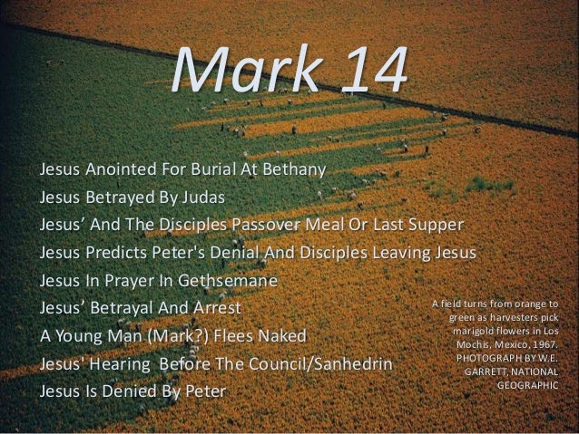 Mark 14, Passover, The Feast of Unleavened Bread, alabaster, muron, n…
