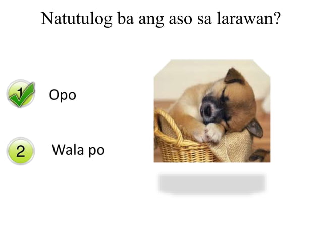 Mark anthony l caliwan presentation | PPTX