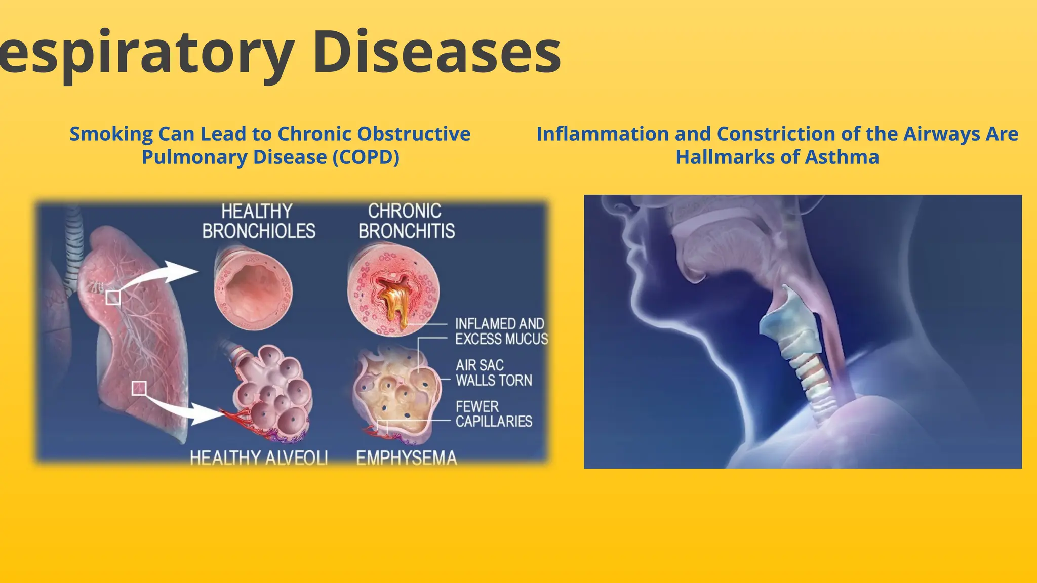 Mark Cris Scrapbook for science and technology.pptx