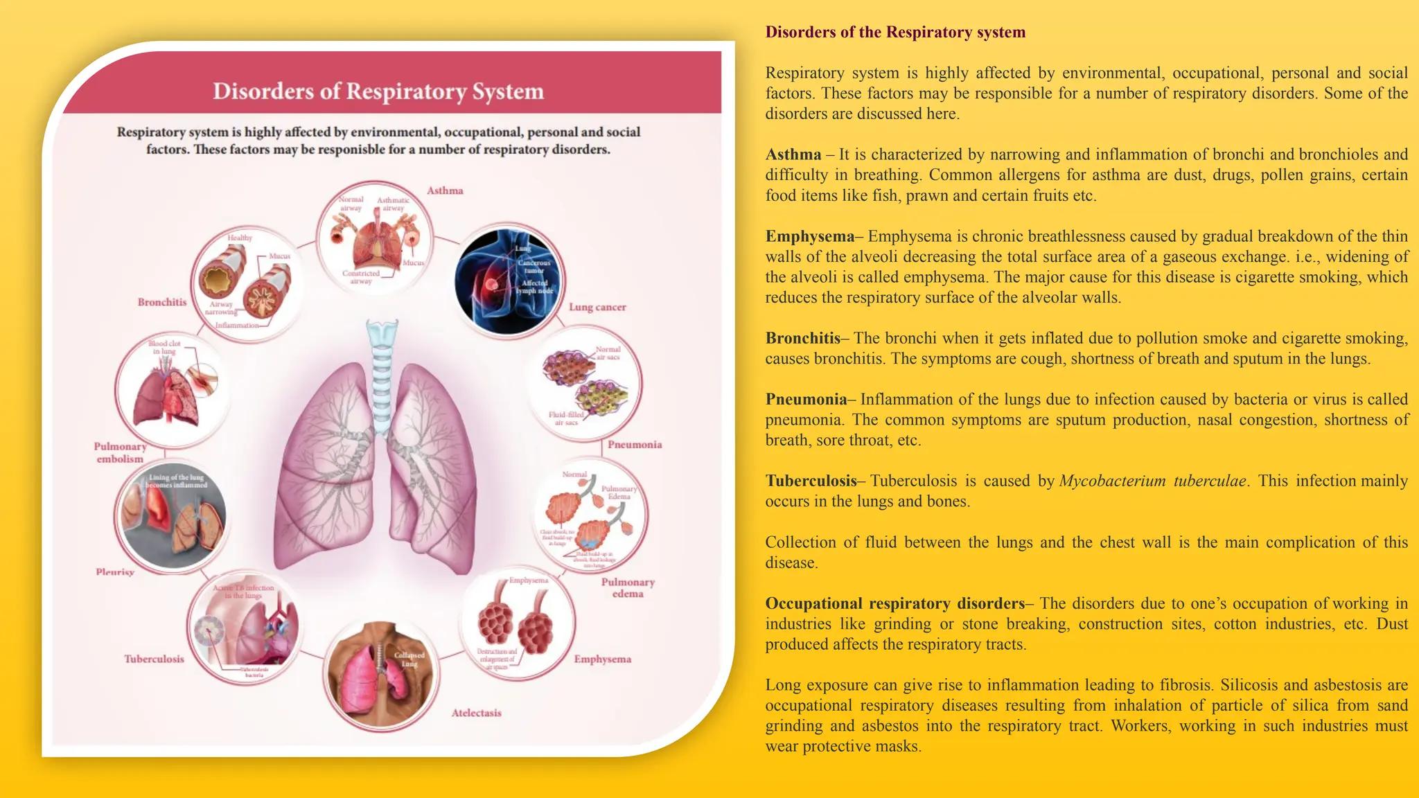 Mark Cris Scrapbook for science and technology.pptx