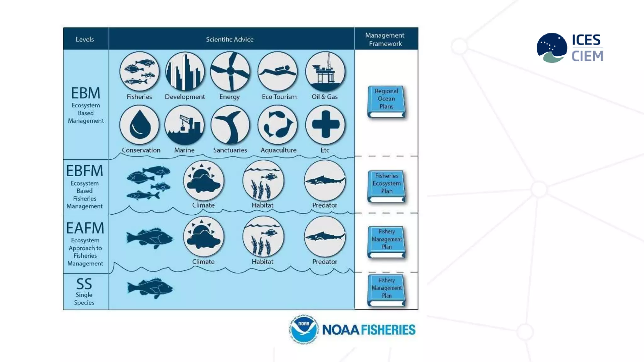 Ecosystem based approach to fisheries management | PPTX