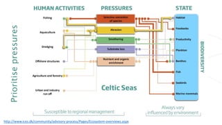 Ecosystem based approach to fisheries management | PPTX