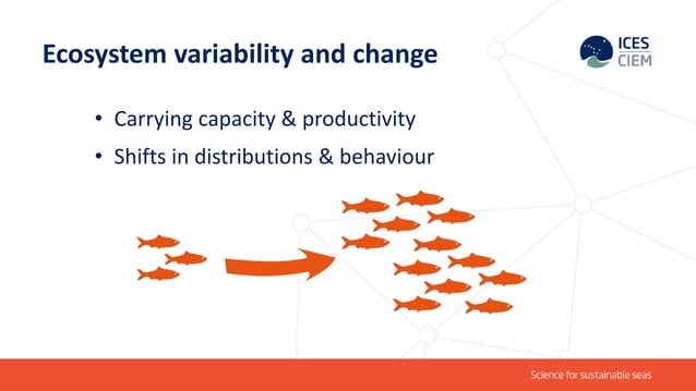 Ecosystem based approach to fisheries management | PPTX