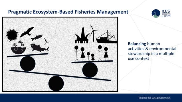 Ecosystem based approach to fisheries management | PPTX