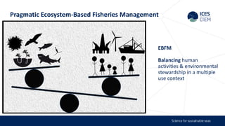 Ecosystem based approach to fisheries management | PPTX