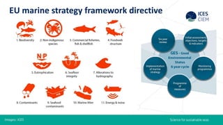 Ecosystem based approach to fisheries management | PPTX