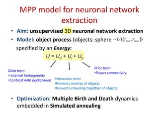 Marked Point Process For Neurite Tracing | PDF | 3-D Graphics | Computer Software and Applications