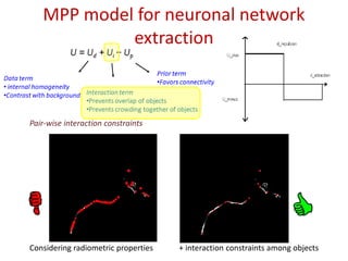 Marked Point Process For Neurite Tracing | PDF | 3-D Graphics | Computer Software and Applications