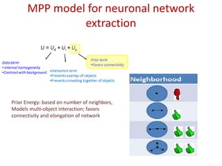 Marked Point Process For Neurite Tracing | PDF | 3-D Graphics | Computer Software and Applications