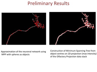Marked Point Process For Neurite Tracing | PDF | 3-D Graphics | Computer Software and Applications