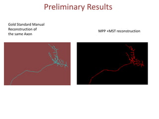 Marked Point Process For Neurite Tracing | PDF | 3-D Graphics ...