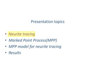 Marked Point Process For Neurite Tracing | PDF | 3-D Graphics ...