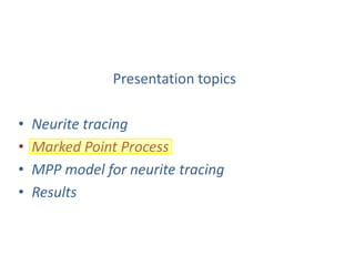 Marked Point Process For Neurite Tracing | PDF | 3-D Graphics | Computer Software and Applications