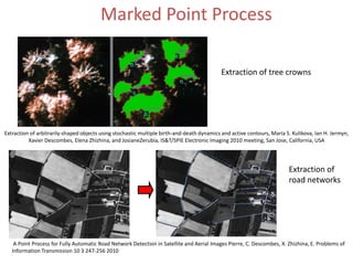 Marked Point Process For Neurite Tracing | PDF | 3-D Graphics | Computer Software and Applications