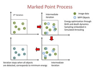 Marked Point Process For Neurite Tracing | PDF | 3-D Graphics | Computer Software and Applications