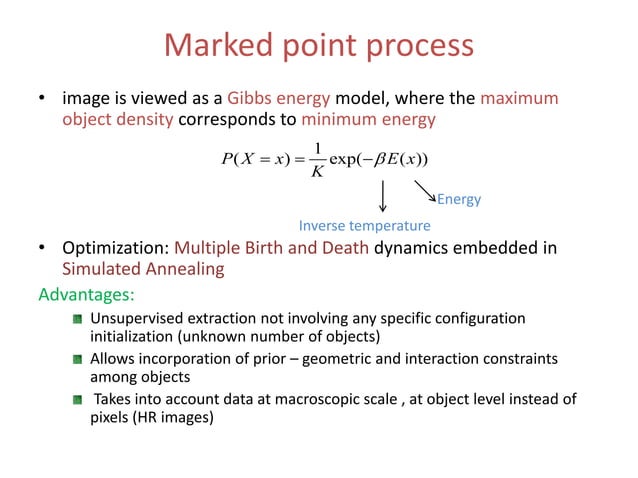 Marked Point Process For Neurite Tracing | PDF | 3-D Graphics | Computer Software and Applications