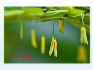 Marker assisted selection of male sterility in rice --vipin | PPT