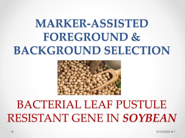 Marker assisted foreground & background selection in soybean | PPTX ...