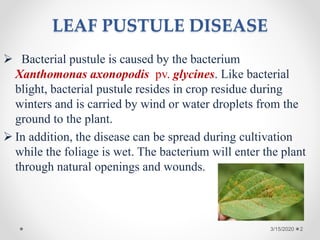Marker assisted foreground & background selection in soybean | PPTX ...