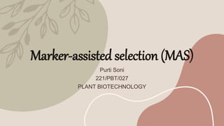 Marker-assisted selection (MAS) plant biotech 1.pptx