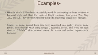 Marker-assisted selection (MAS) plant biotech 1.pptx