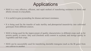 Marker-assisted selection (MAS) plant biotech 1.pptx