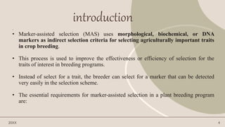 Marker-assisted selection (MAS) plant biotech 1.pptx