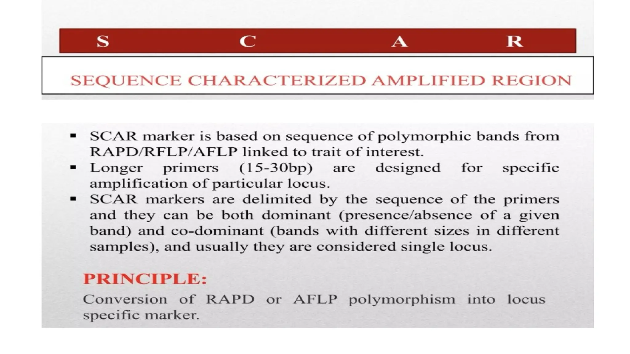 Marker aided breeding in plants for crop improvement- RAPD , RFLP , SCAR Markers | PPTX